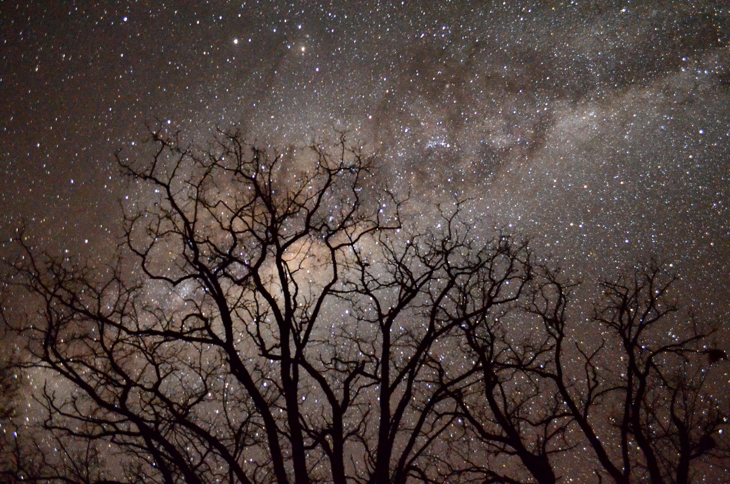 About – Kokolofitwe