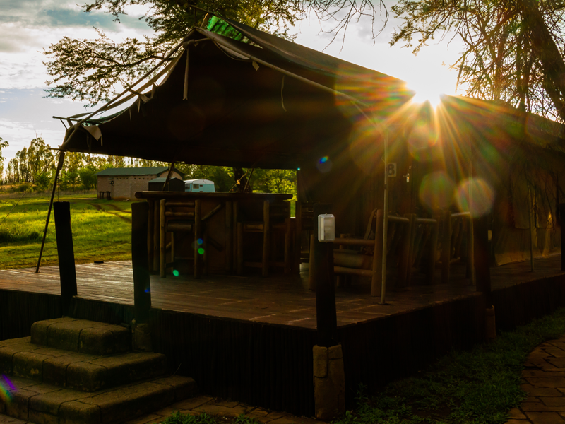 Accommodation - Kokolofitwe